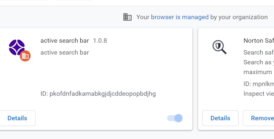 How to remove Active Search Bar - BugsFighter